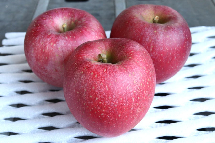 JAながの 飯綱青年部のシナノホッペ 家庭用 約3kg(7-10玉): 全農長野 僕らはおいしい応援団|【JAタウン】産地直送 通販 お取り寄せ