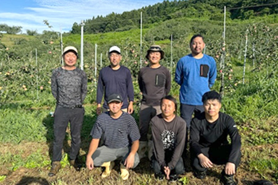 JAながの 飯綱青年部のシナノホッペ 家庭用 約3kg(7-10玉): 全農長野 僕らはおいしい応援団|【JAタウン】産地直送 通販 お取り寄せ