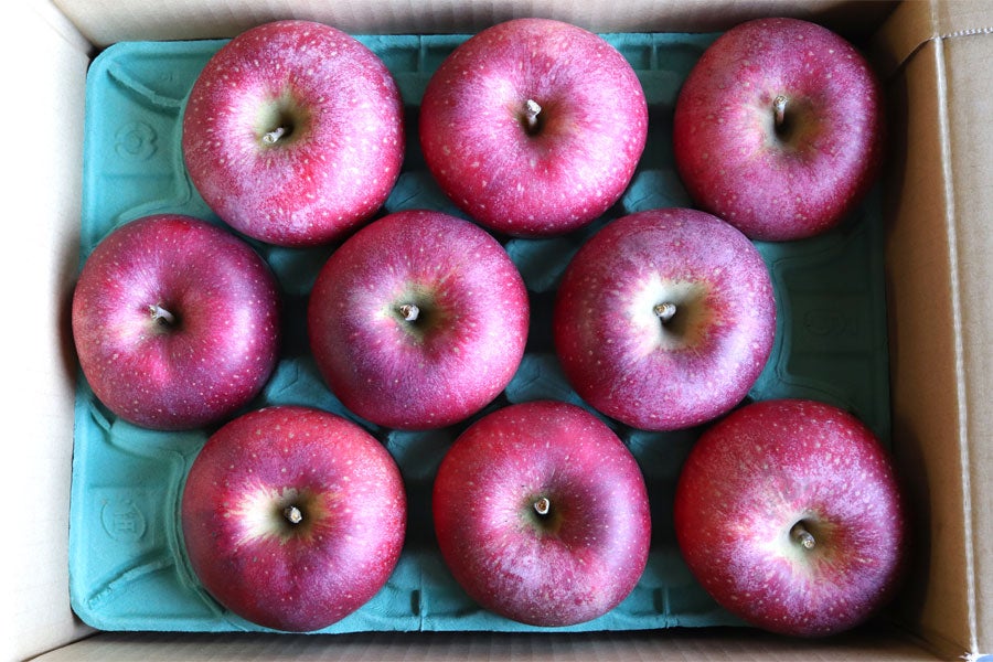 JAながの 飯綱青年部のシナノホッペ 家庭用 約3kg(7-10玉): 全農長野 僕らはおいしい応援団|【JAタウン】産地直送 通販 お取り寄せ