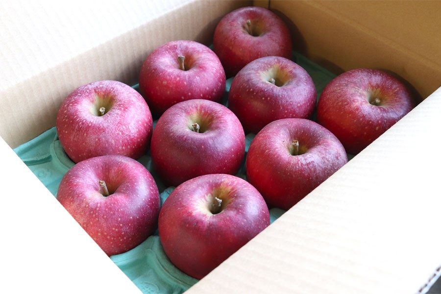 JAながの 飯綱青年部のシナノホッペ 家庭用 約3kg(7-10玉): 全農長野 僕らはおいしい応援団|【JAタウン】産地直送 通販 お取り寄せ