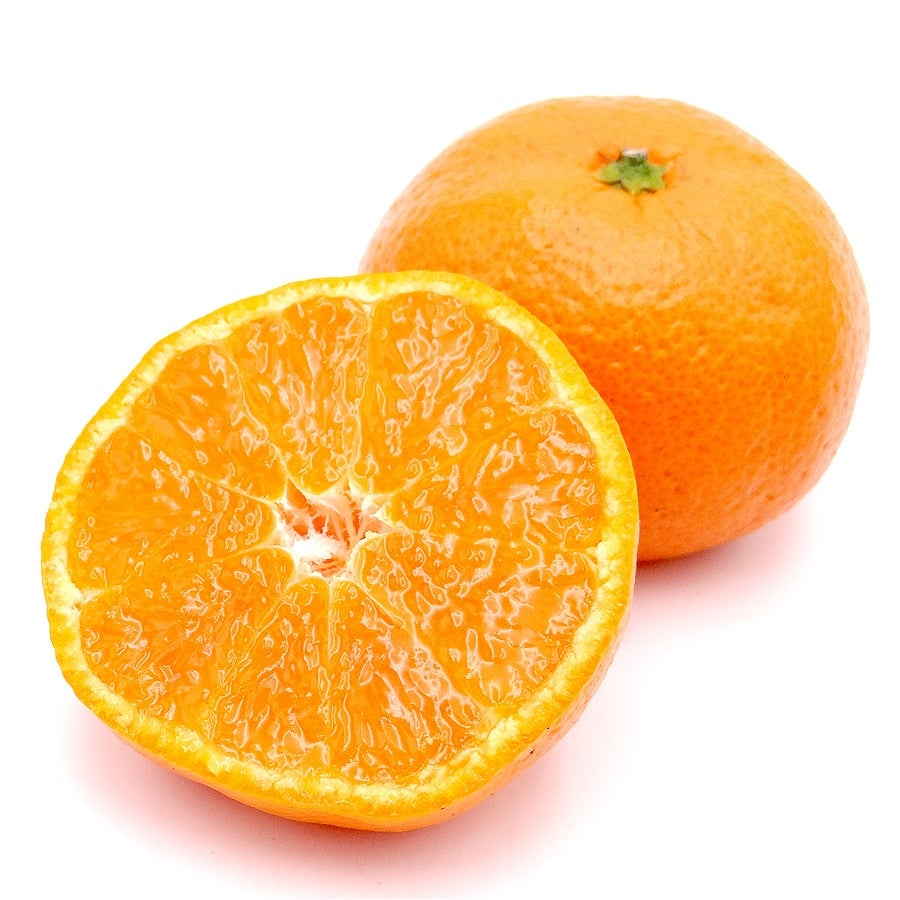 【数量限定】岐阜県産「南濃みかん」青秀 10kg（2Lサイズ）: 飛騨・美濃うまいもん広場|【JAタウン】産地直送 通販 お取り寄せ