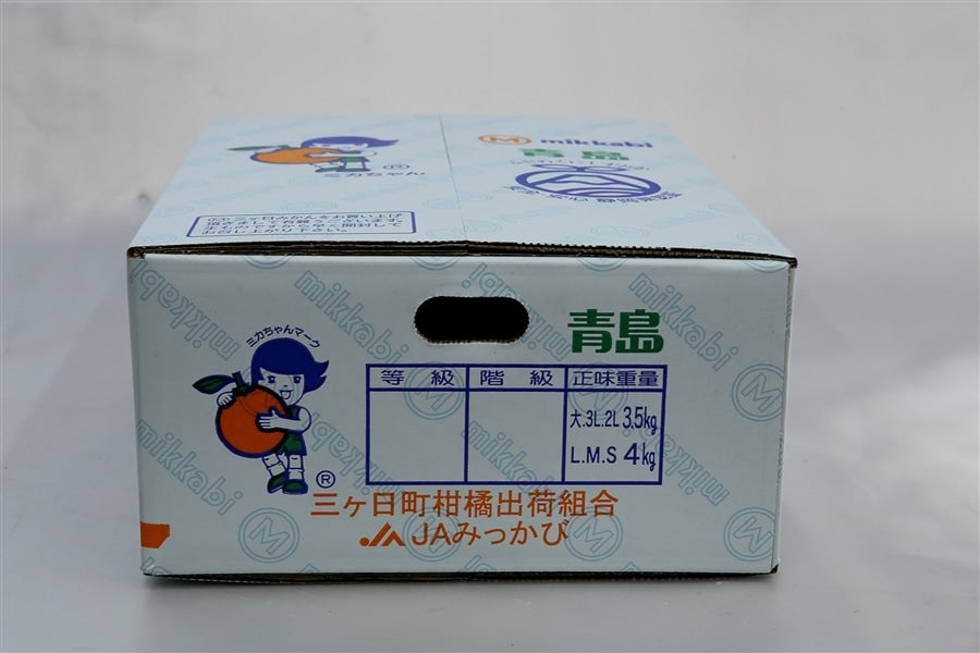 三ヶ日青島みかん（秀品）2L 3.5kg JAみっかび: しずおか『手しお屋』|【JAタウン】産地直送 通販 お取り寄せ