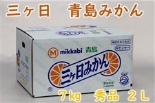 三ヶ日青島みかん（秀品）2L 7kg JAみっかび: しずおか『手しお屋』|【JAタウン】産地直送 通販 お取り寄せ