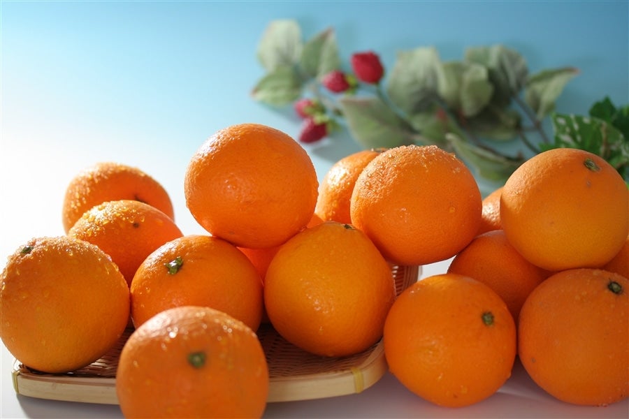 やさしい甘さ 清見 約10kg:2L（紀の里）: ココ・カラ。和歌山マルシェ|【JAタウン】産地直送 通販 お取り寄せ