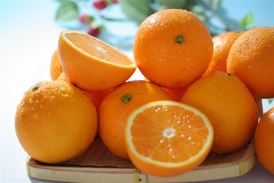 やさしい甘さ 清見 約10kg:2L（紀の里）: ココ・カラ。和歌山マルシェ|【JAタウン】産地直送 通販 お取り寄せ