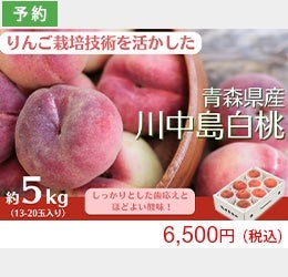 【JAタウンより特別なご案内】桃購入時に使用できる500円引きクーポンをプレゼント